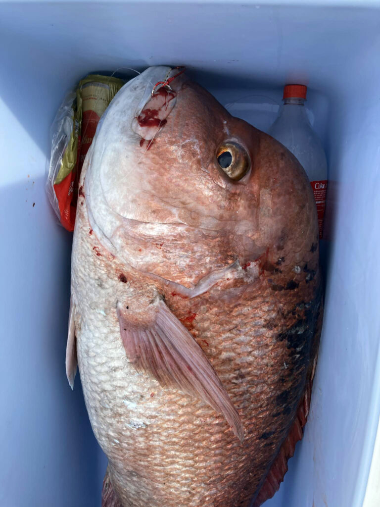 Novi uspjeh našeg reprezentativca. Isplovio na škrpine, a vratio se s ...