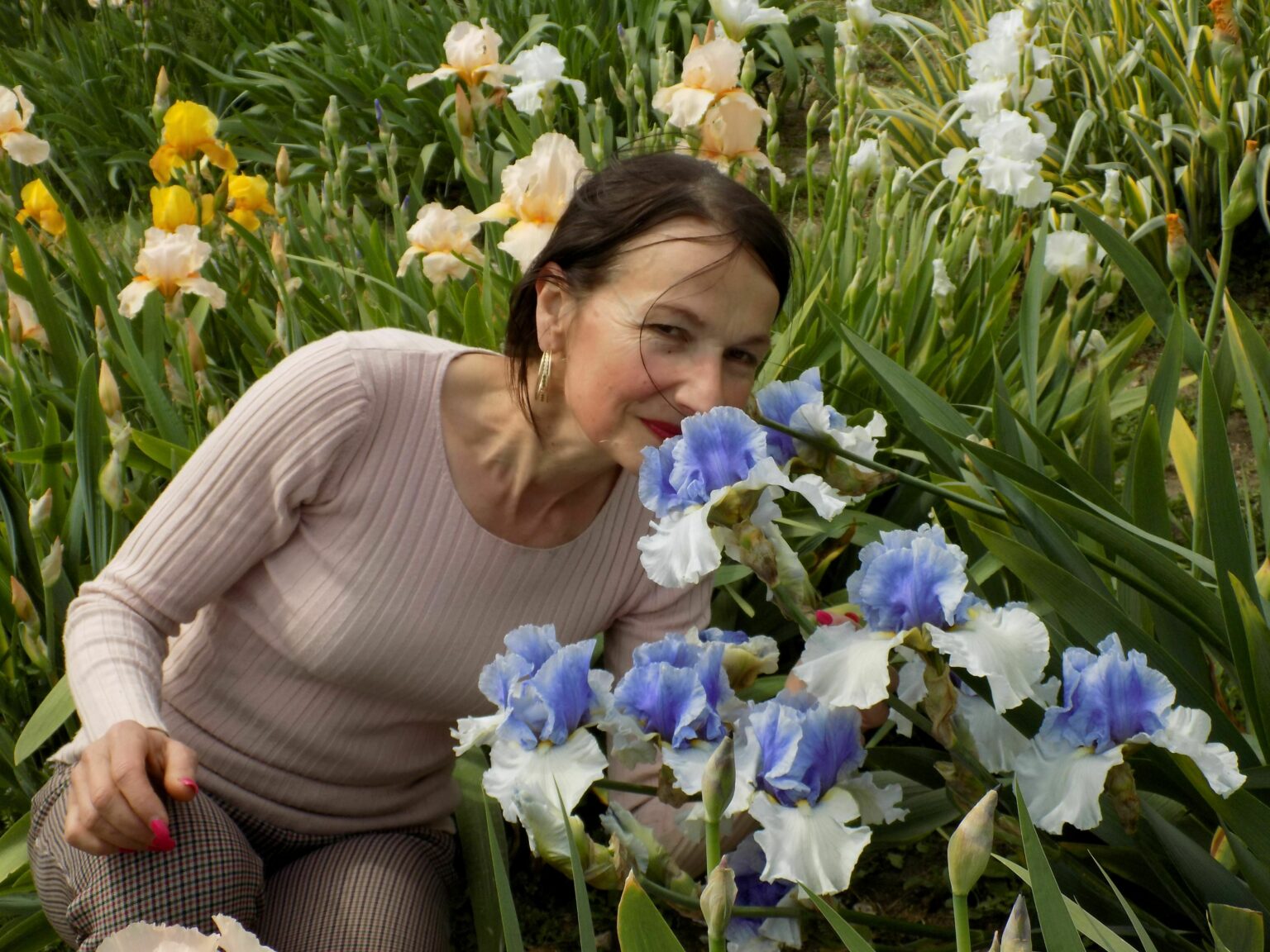 Ročki vrt perunika obitelji Greblo, najveći je istarski vrt ovog ...
