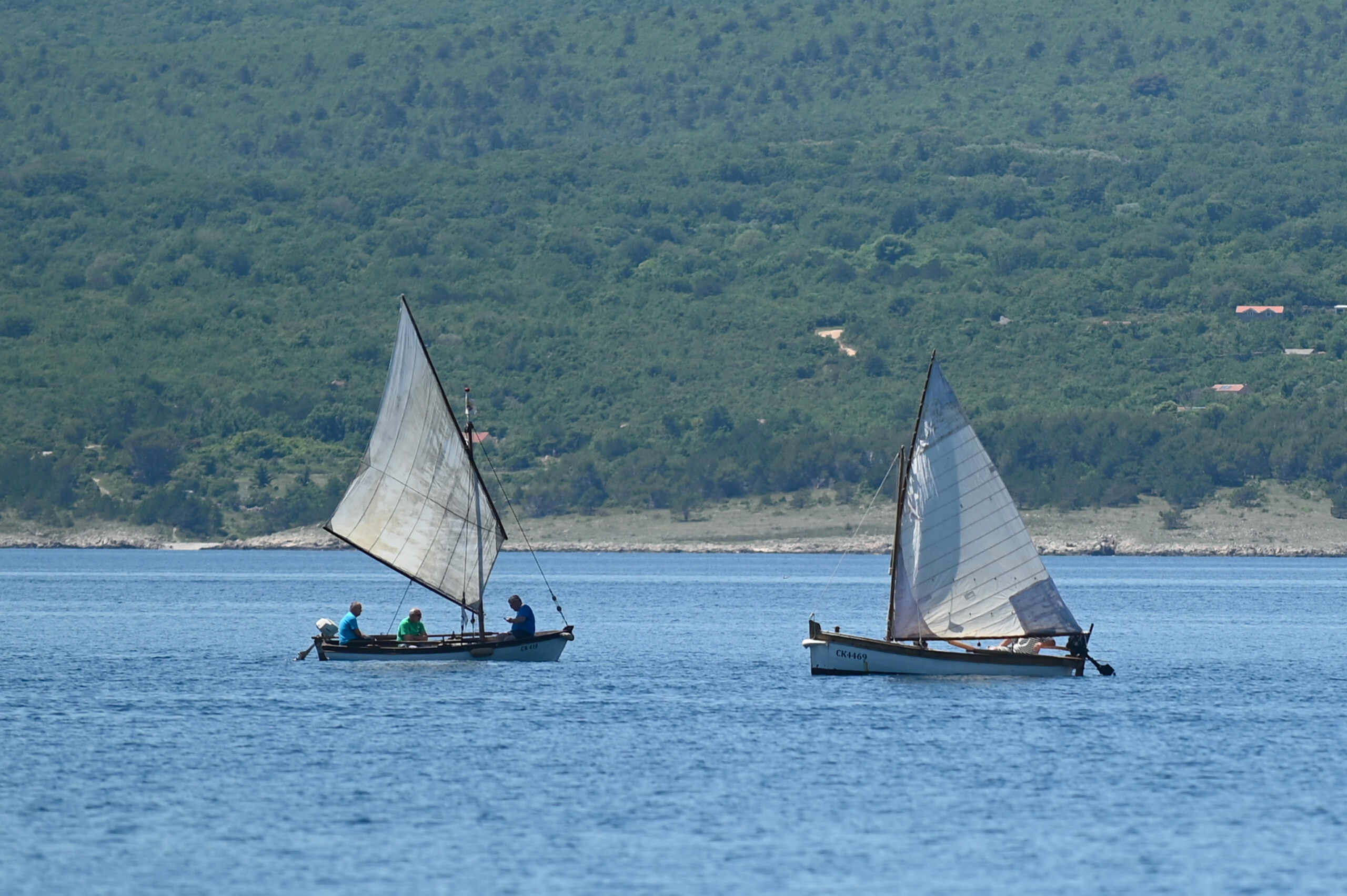 Tradicijske barke sa starinskim jedrima na regati u selačkom akvatoriju ...
