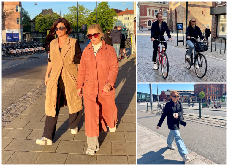 Božuri u vrtu i na balkonu - simbol prosperiteta i sretnog braka - Novi ...