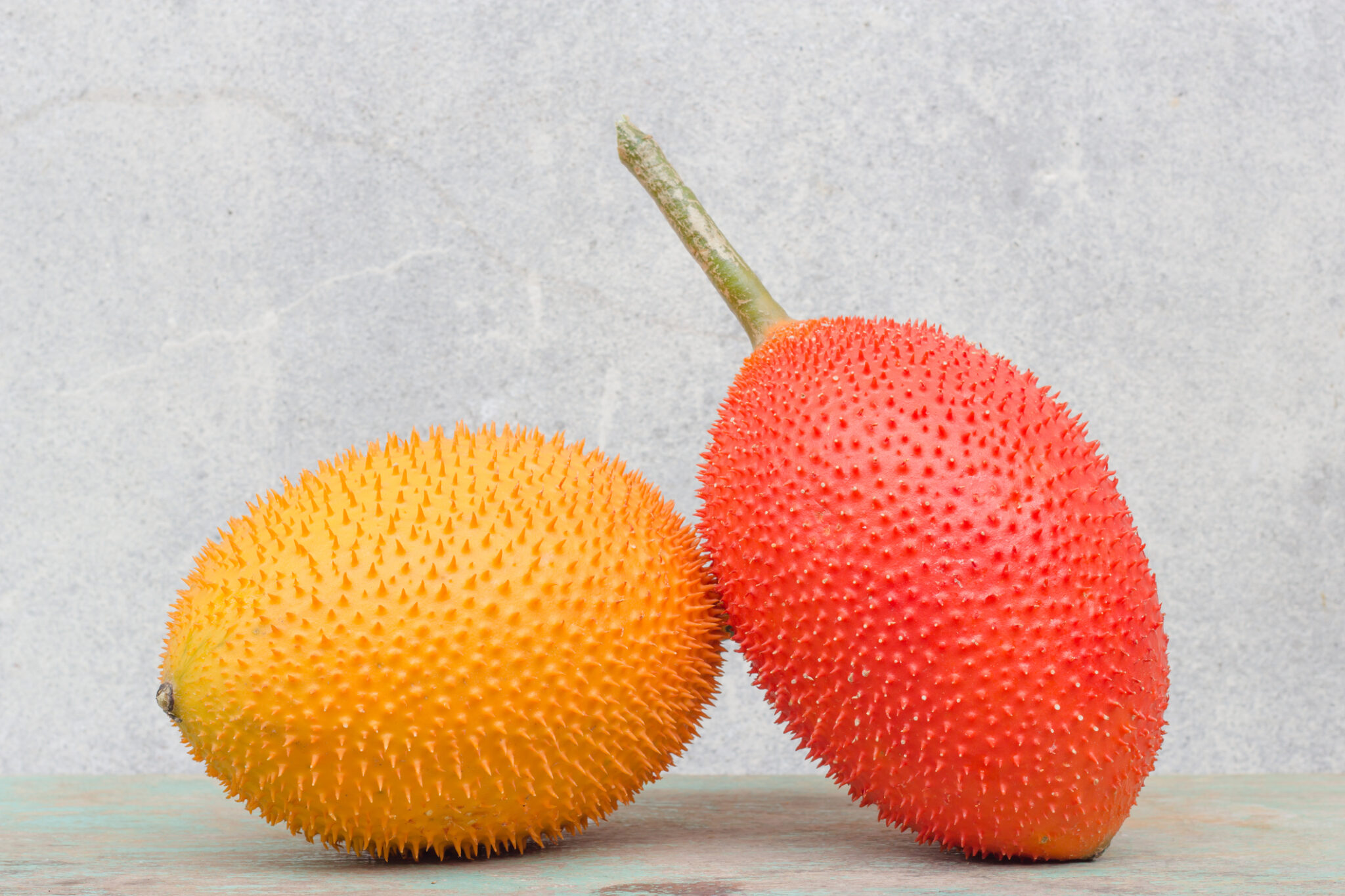 Sljez nije samo ukrasna, već i iznimno ljekovita biljka naših vrtova ...