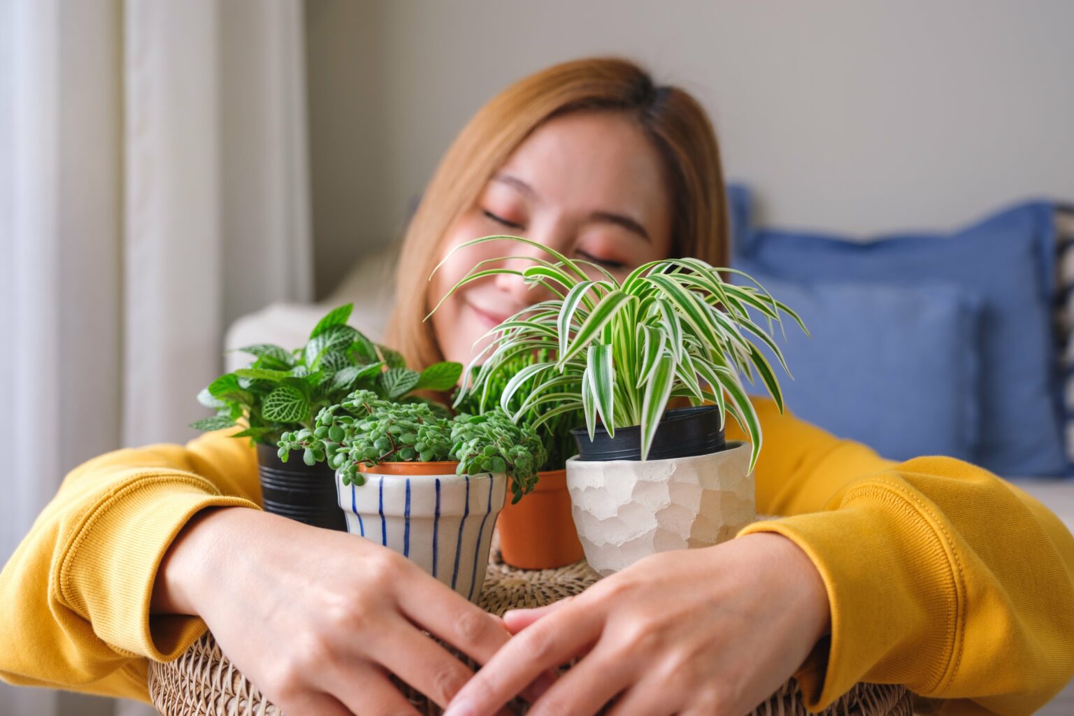 Sljez nije samo ukrasna, već i iznimno ljekovita biljka naših vrtova ...