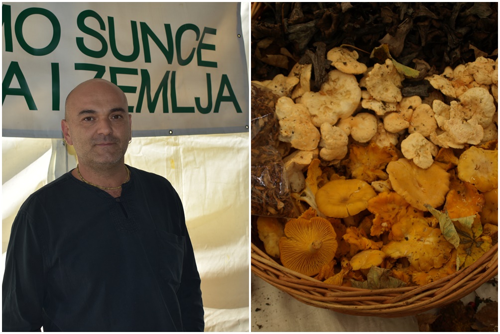 Krenule gljive u Lici, u šumama se najviše beru lisičarke i vrganji ...