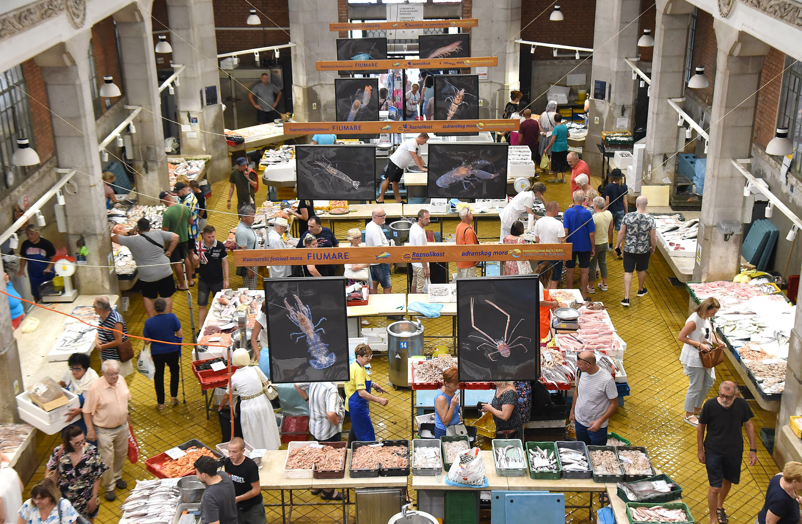 Obišli smo centralnu riječku tržnicu, ponuda je zaista bogata: 'Svega ...