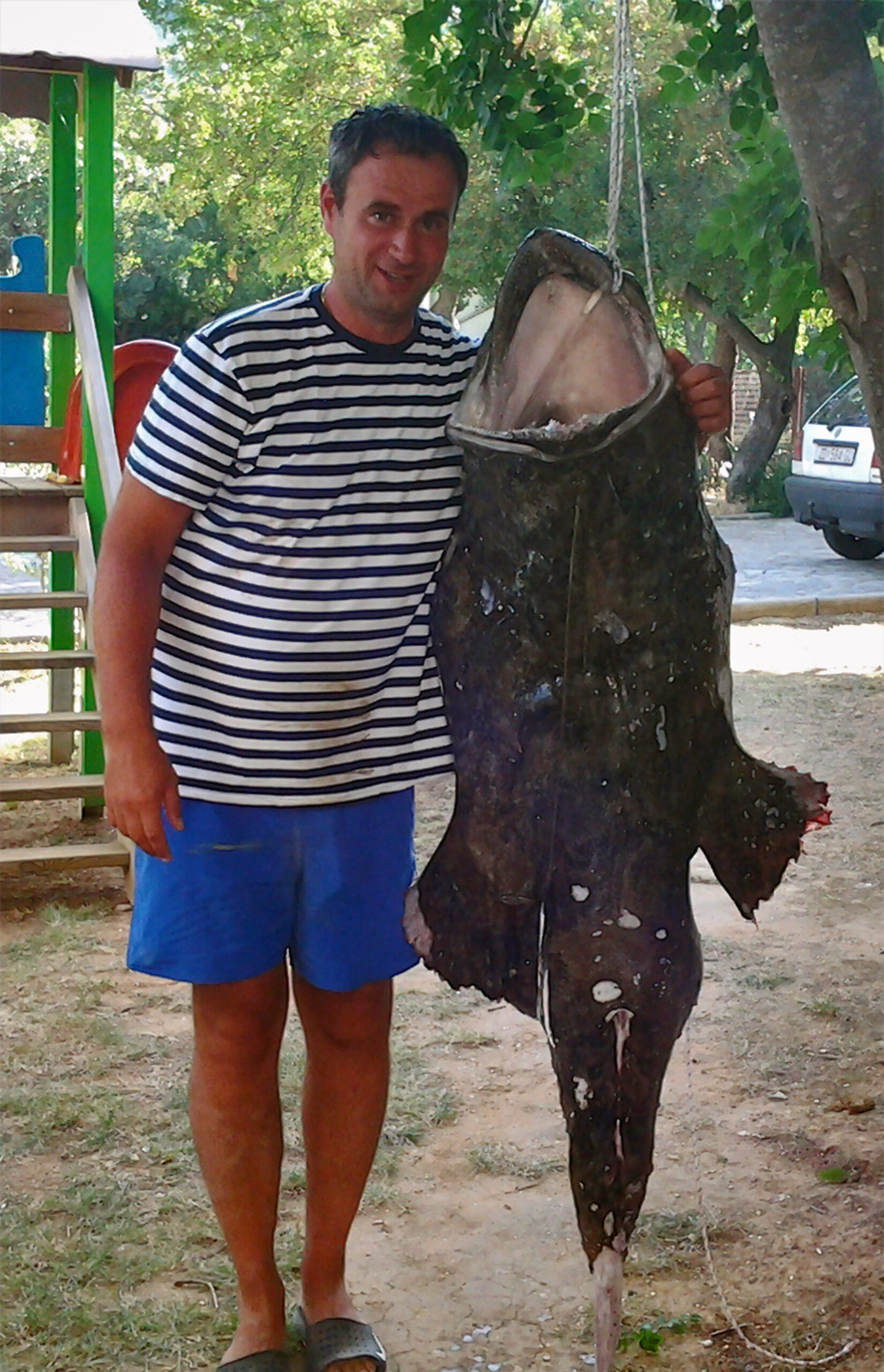 Iako ima izuzetno ukusno meso ova riba nije posvuda cijenjena. Ipak ...