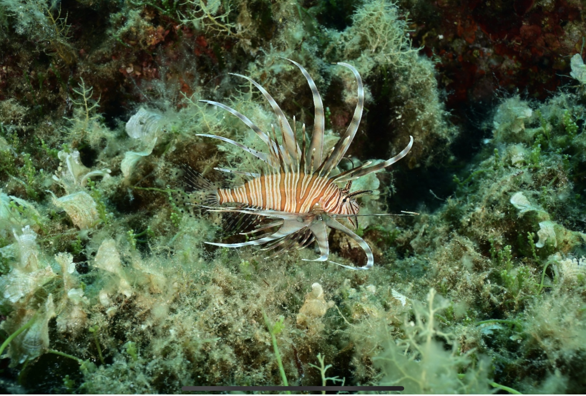Možete li predvidjeti dolazak juga? A znate li koji vjetar zovu ...