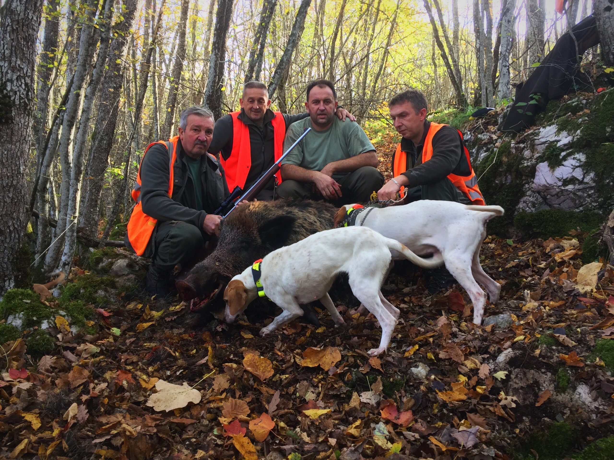 Zimski san će još malo pričekati: Medvjedi u Kuterevu ovih su dana više ...