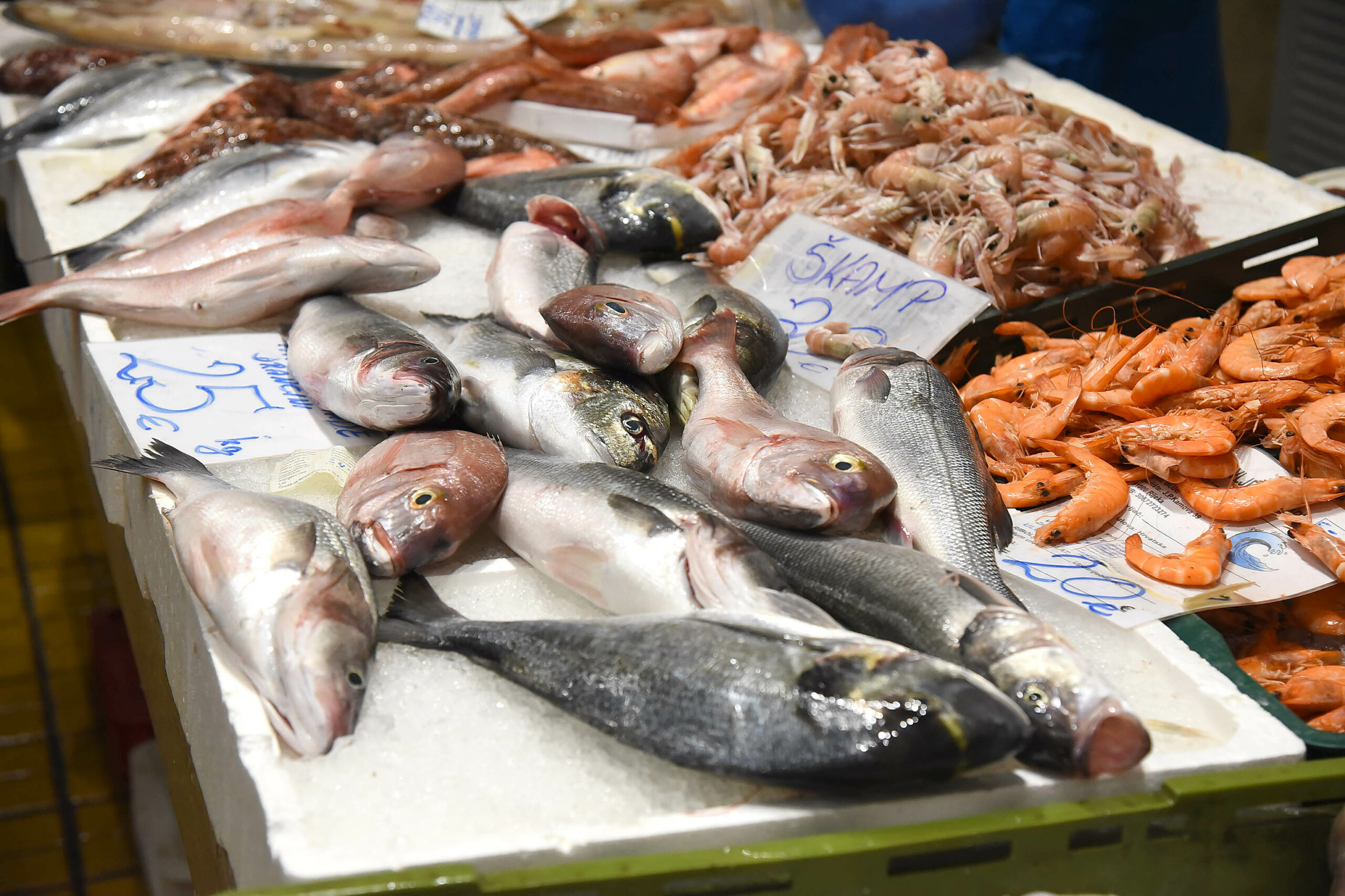 Slabi ulovi mijenjaju propise - Novi list