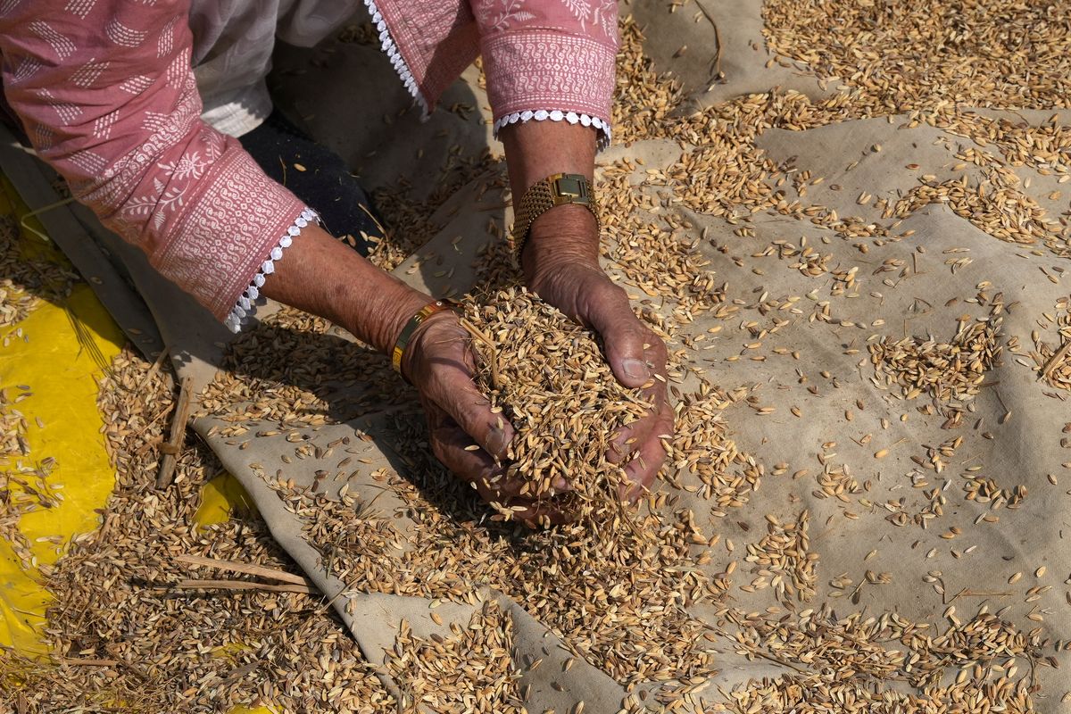 Oskudica kalija u tlu prijeti globalnoj prehrambenoj sigurnosti ...