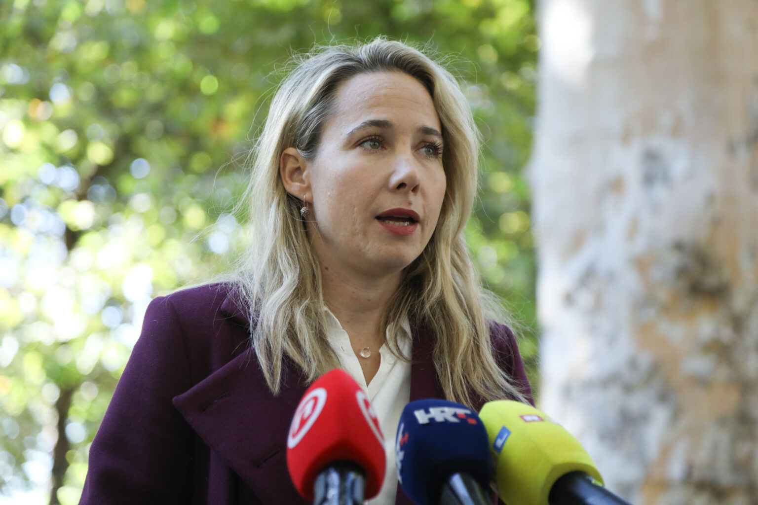 Selak Raspudić: "Od štrajka u zdravstvu profitirat će i Dragan Primorac ...