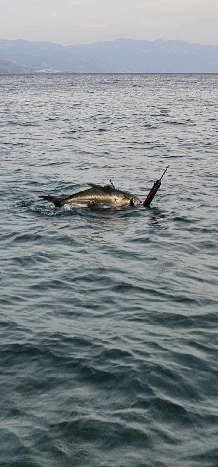 Tako se to radi. Pošao uloviti večeru pa na 13 metara nastrijelio licu ...