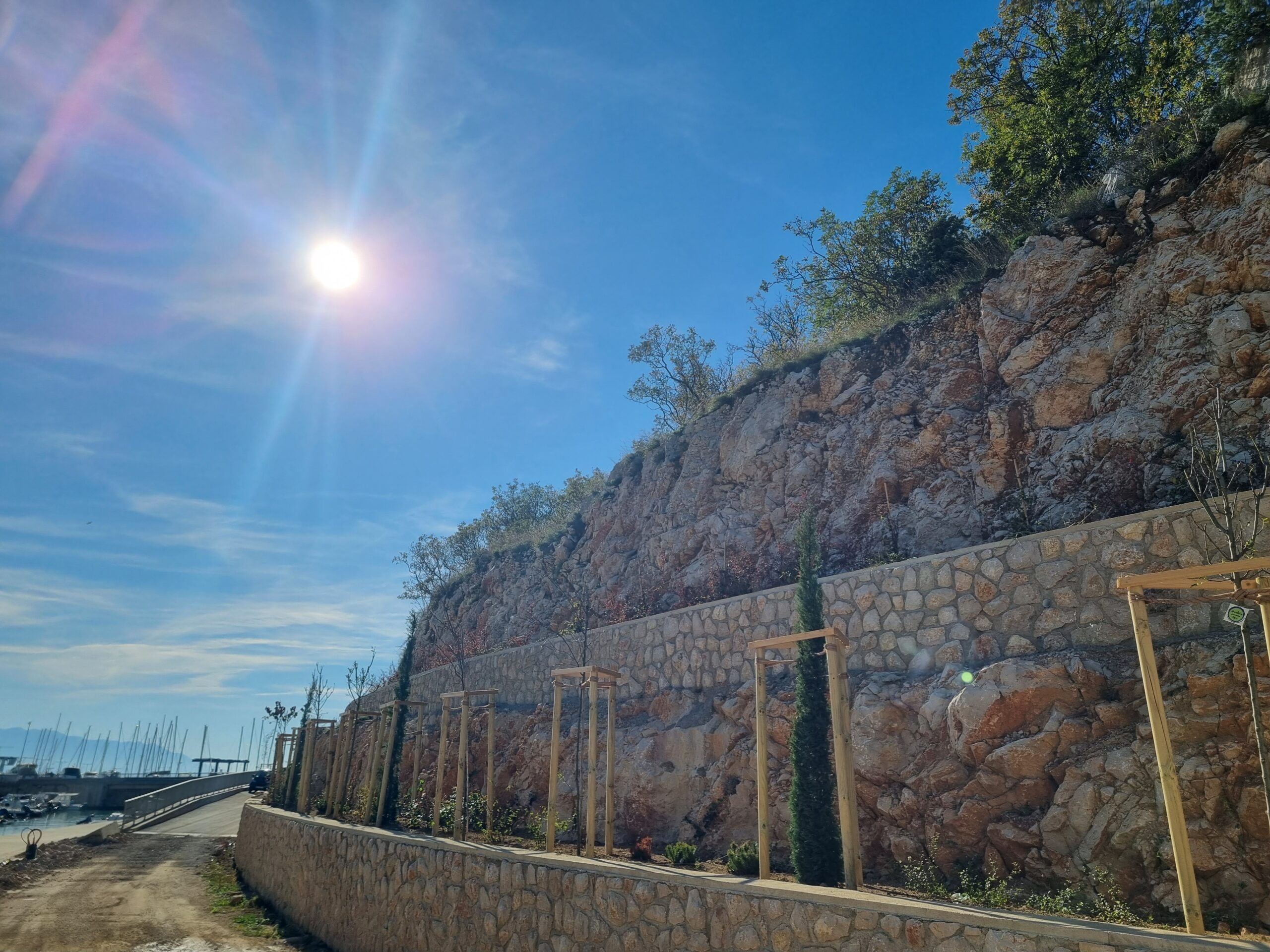 U Novom na budućoj šetnici uz Ričinu zasađeno deset stabala crnog ...