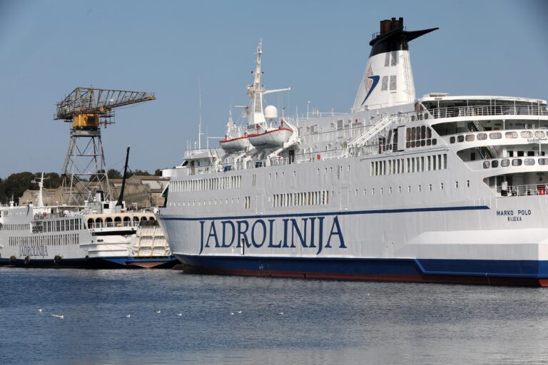 Lampuga se smatra jednom od najbržih migratorskih pučinskih riba. Evo ...