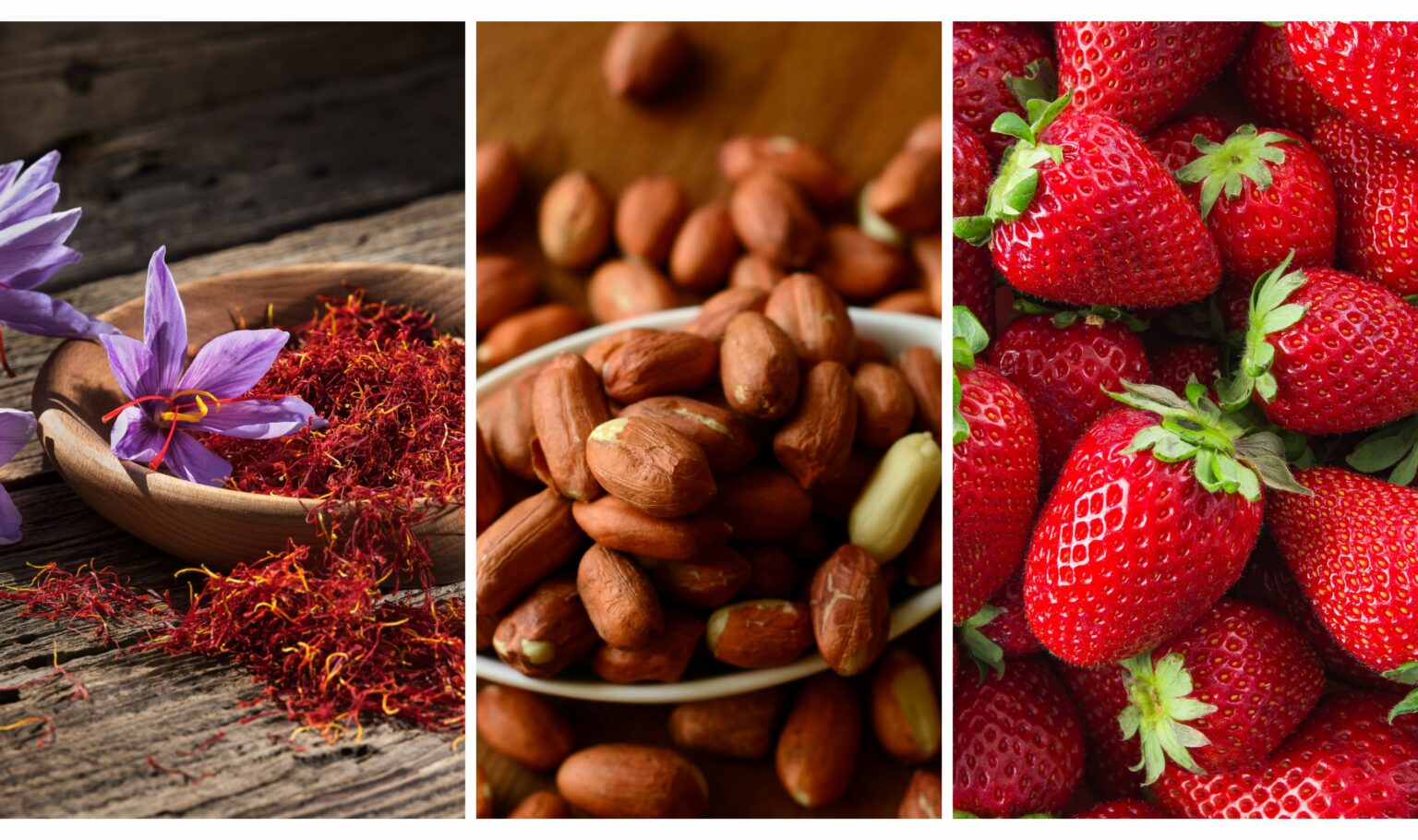 Sljez nije samo ukrasna, već i iznimno ljekovita biljka naših vrtova ...