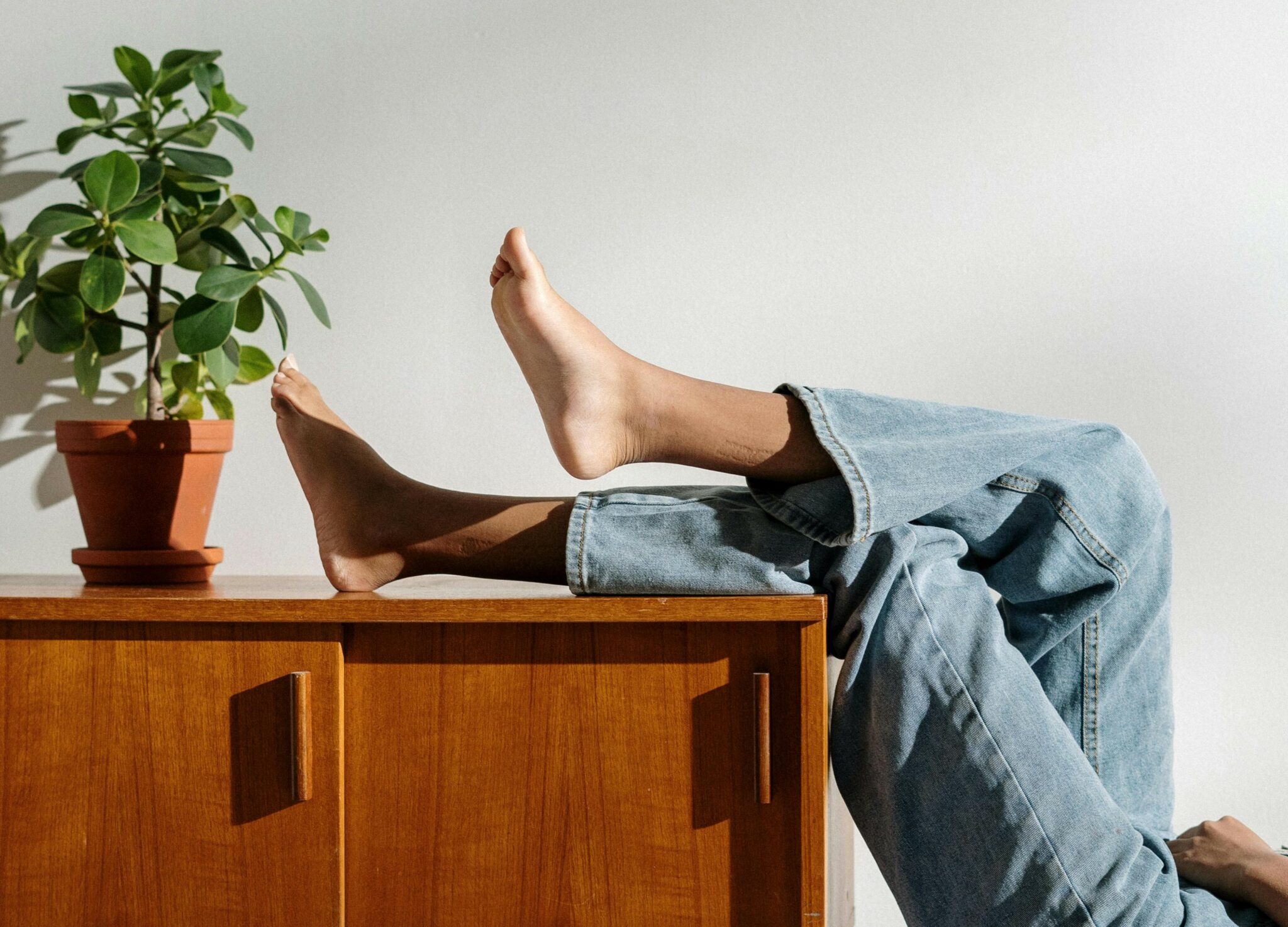 Božuri u vrtu i na balkonu - simbol prosperiteta i sretnog braka - Novi ...