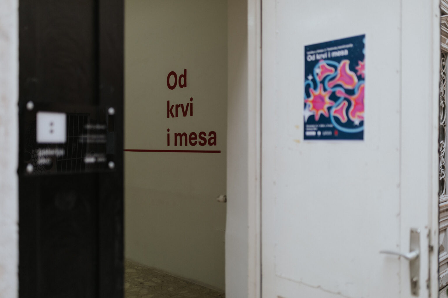 Zatvoreno treće izdanje Festivala menstruacije uz otvorenje izložbe u ...