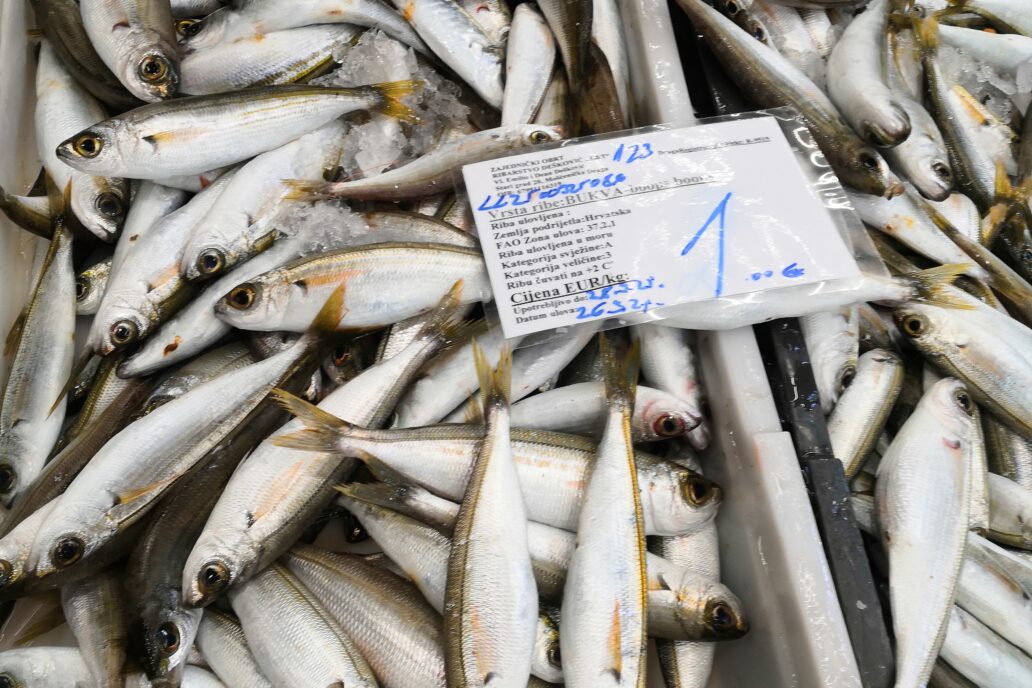 Priča s place: "Prije je kilogram srdela koštao četiri kune, a sada je ...