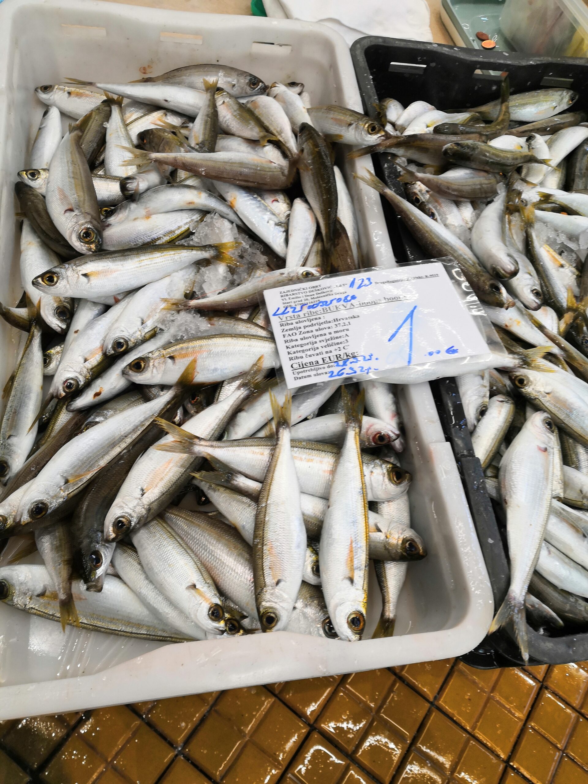 Priča s place: "Prije je kilogram srdela koštao četiri kune, a sada je ...