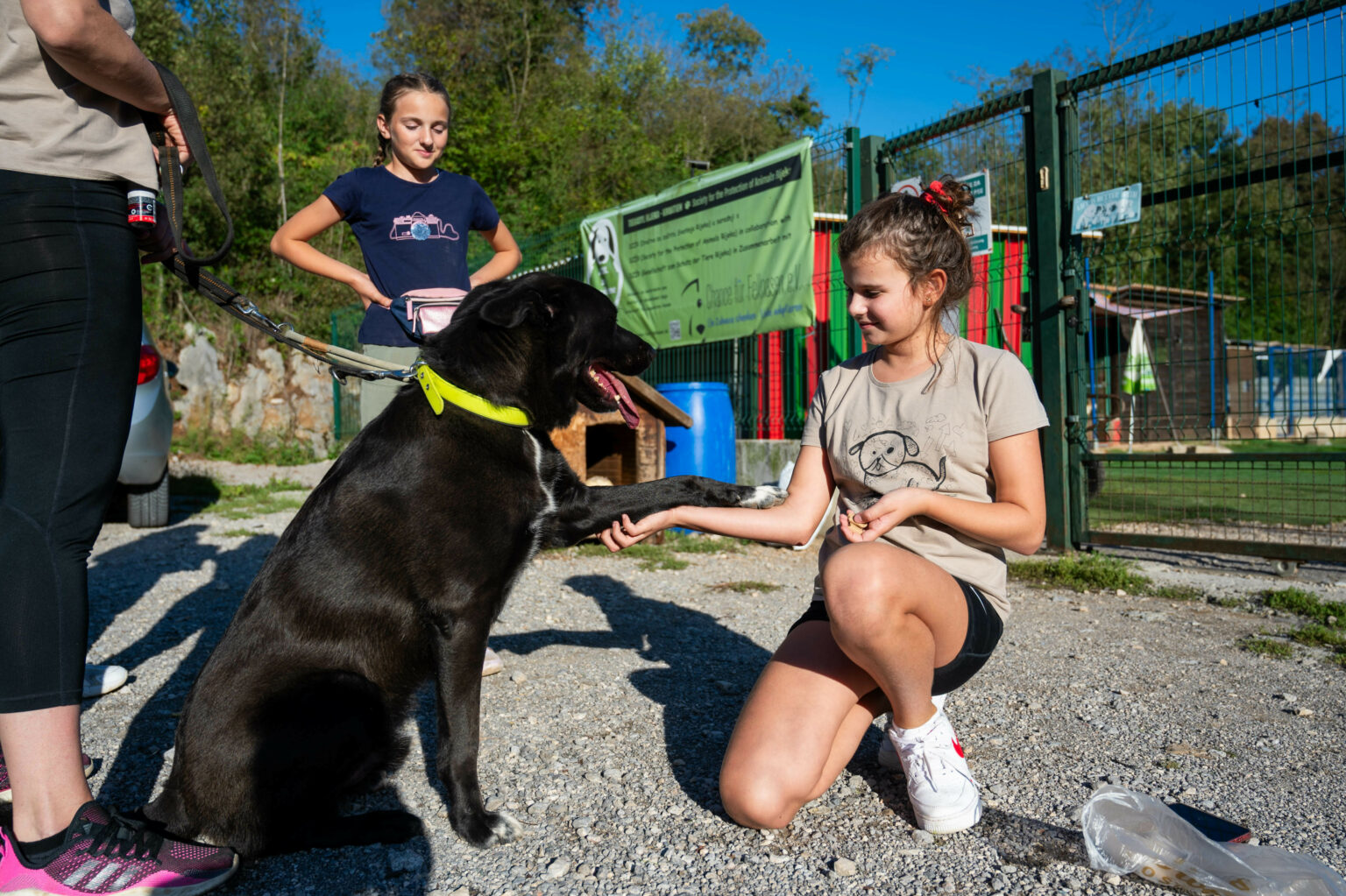 FOTO Djevojčice Franka i Hana svoje slobodno vrijeme provode u azilu za pse na Viškovu - Novi list