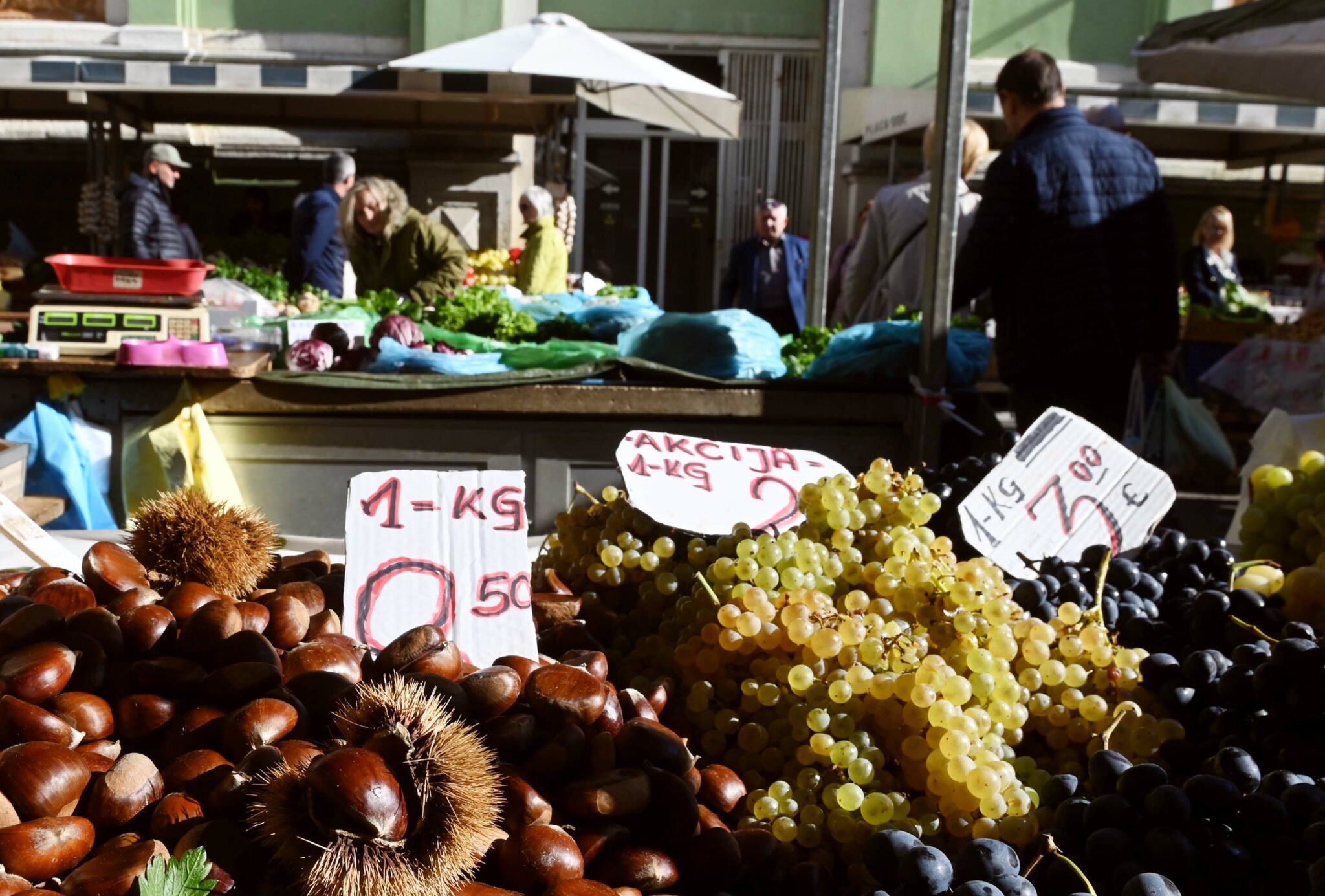 Što nudi riječka placa: Plave ribe je malo, stigli prvi maruni ...