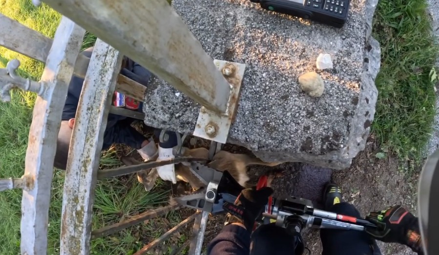 VIDEO Riječki vatrogasci spasili mladu srnu. Prilikom pretrčavanja ...