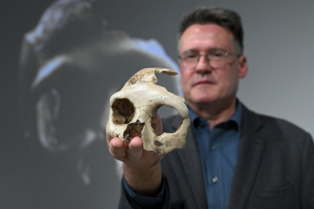 Najpoznatiji fosil krapinskog neandertalca prvi put samostalno ...