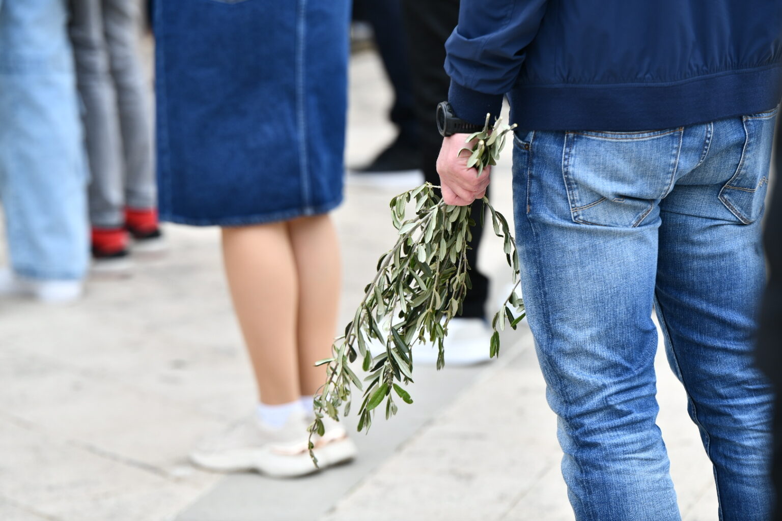 Danas je Cvjetnica, početak Velikog tjedna i spomen na Isusov svečani ...