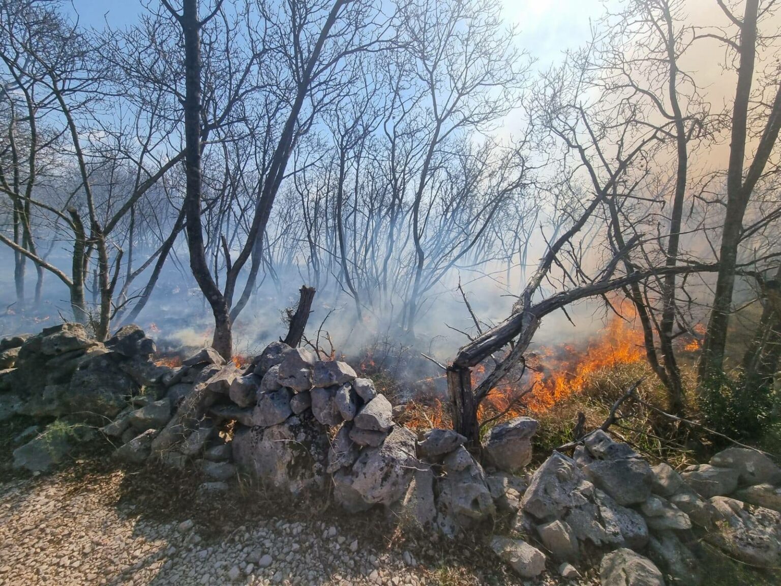 Krčki vatrogasci gasili požar improviziranog objekta, zabilježeno više ...