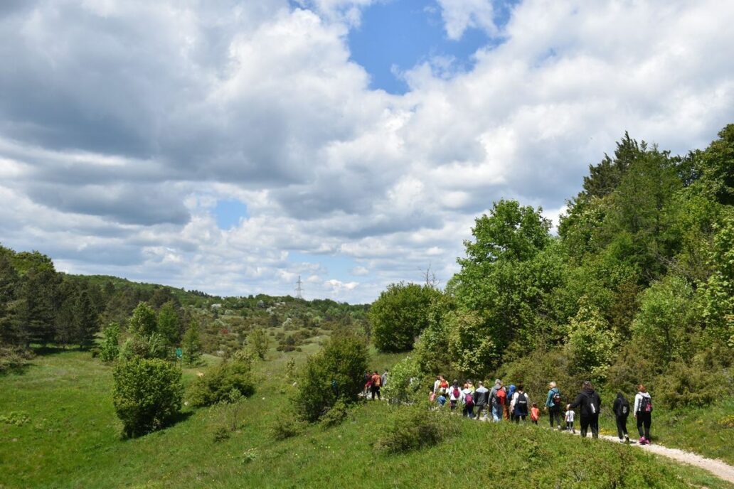 Park prirode Učka u subotu slavi Dan planeta Zemlje, pripremili su ...